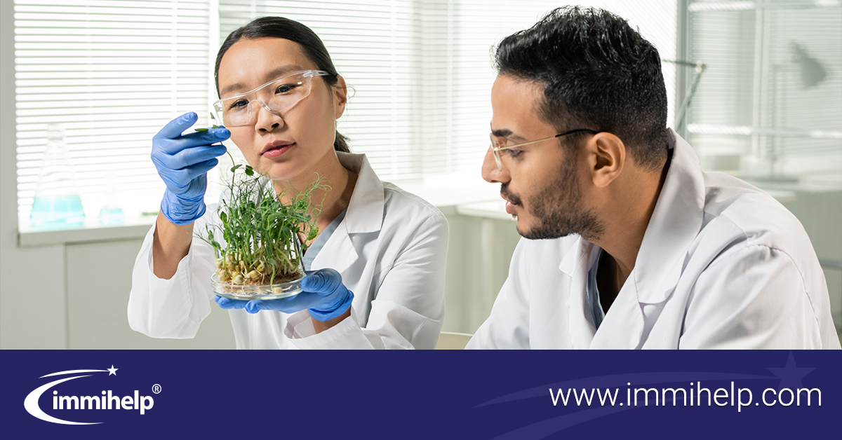 24 Month Extension of Optional Practical Training (OPT) for STEM Degree Holders - Immihelp